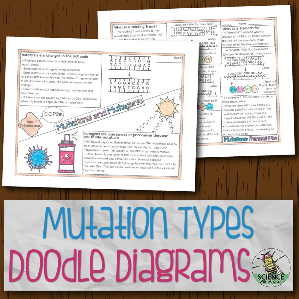 Mutation Types Doodle Diagrams | Store - Science and Math with Mrs. Lau