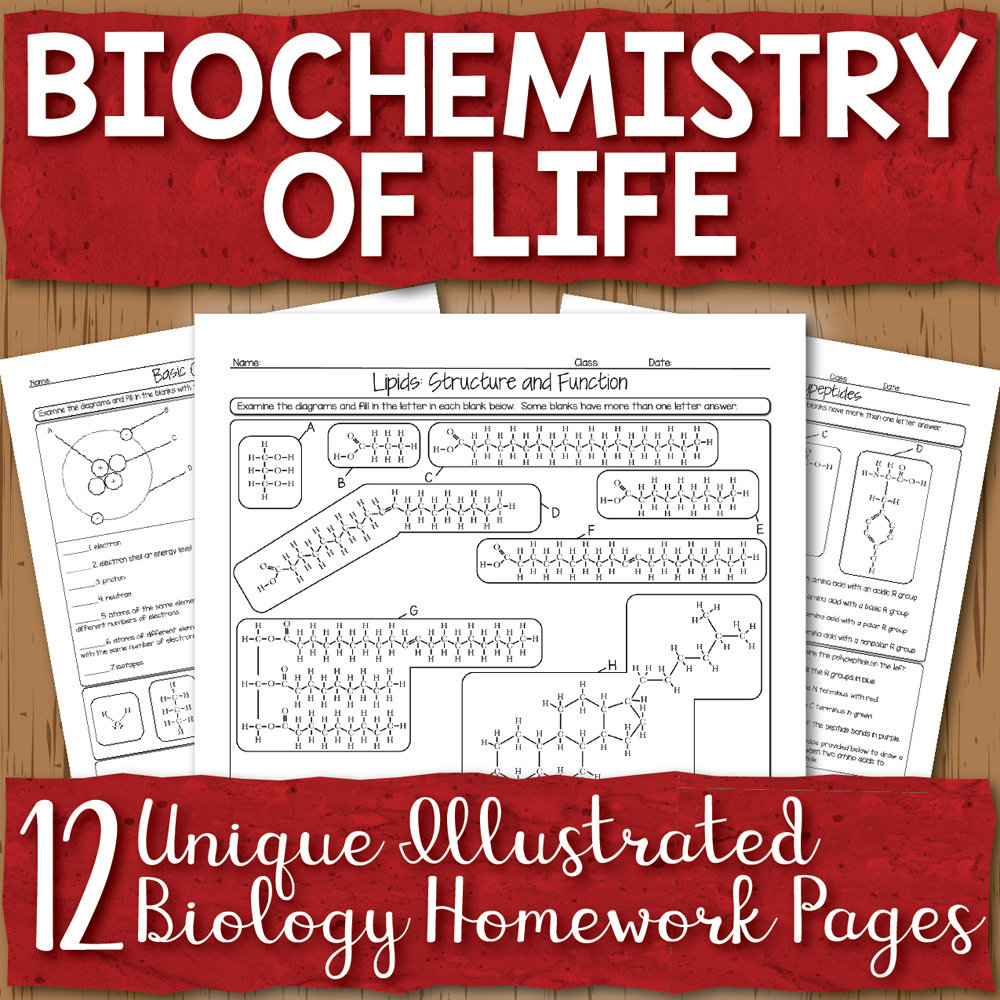Biochemistry Homework Unit | Store - Science and Math with Mrs. Lau