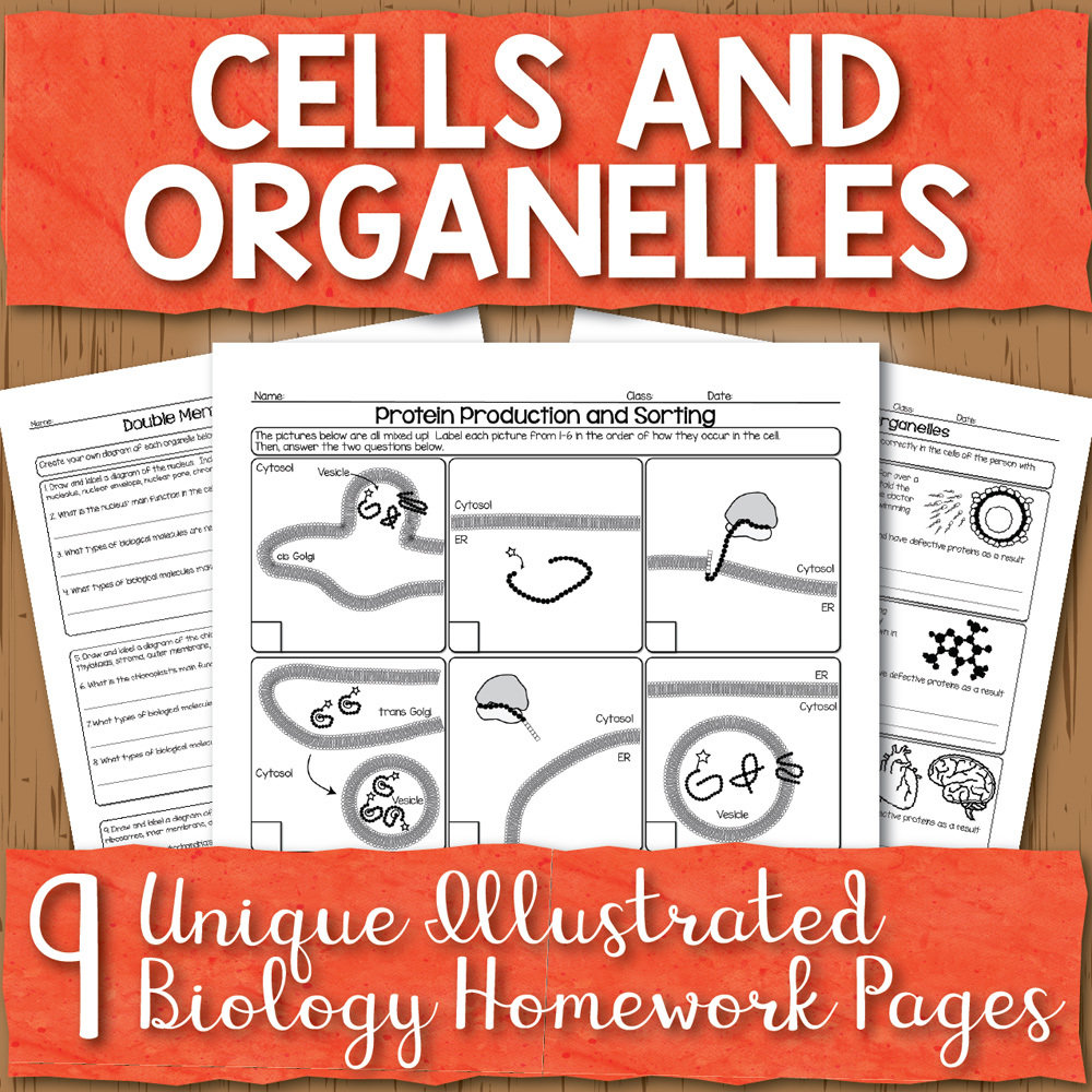 Cells and Organelles Homework Unit | Store - Science and Math with Mrs. Lau