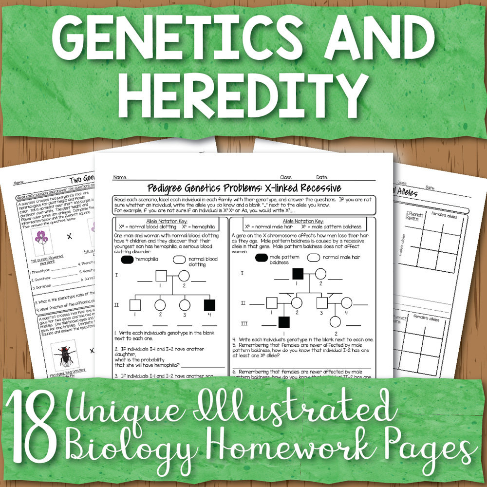 Genetics Homework Pages | Store - Science and Math with Mrs. Lau