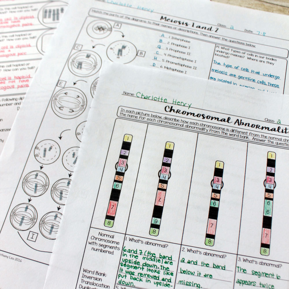 Unit 6: Cell Division Resources | Store - Science and Math with Mrs. Lau