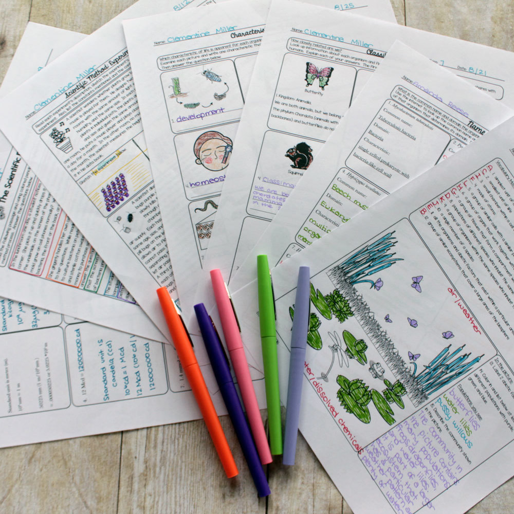 Money-Saving Big Bundles | Store - Science and Math with Mrs. Lau