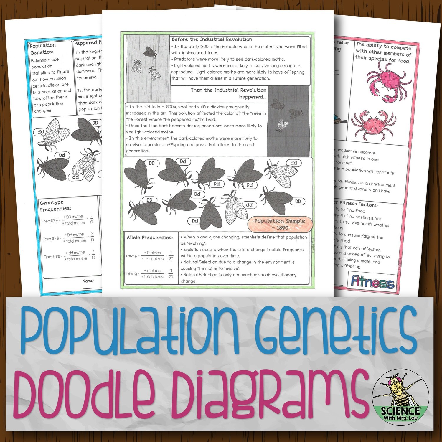 Population Genetics and Fitness Doodle Diagrams | Store - Science and ...