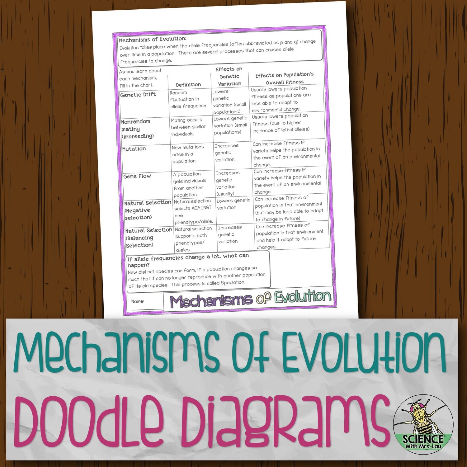 Mechanisms of Evolution Doodle Diagram | Store - Science and Math with ...
