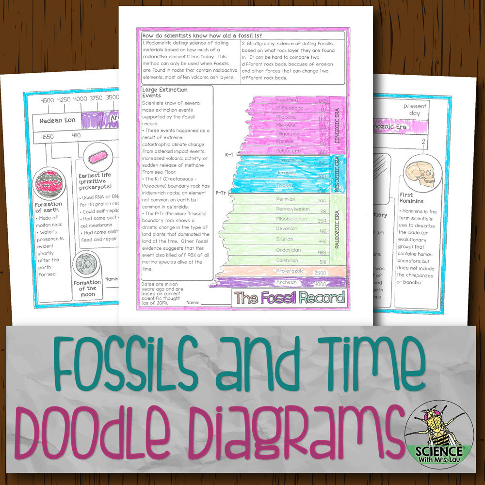 Fossil Record and Geologic Time Doodle Diagrams | Store - Science and ...