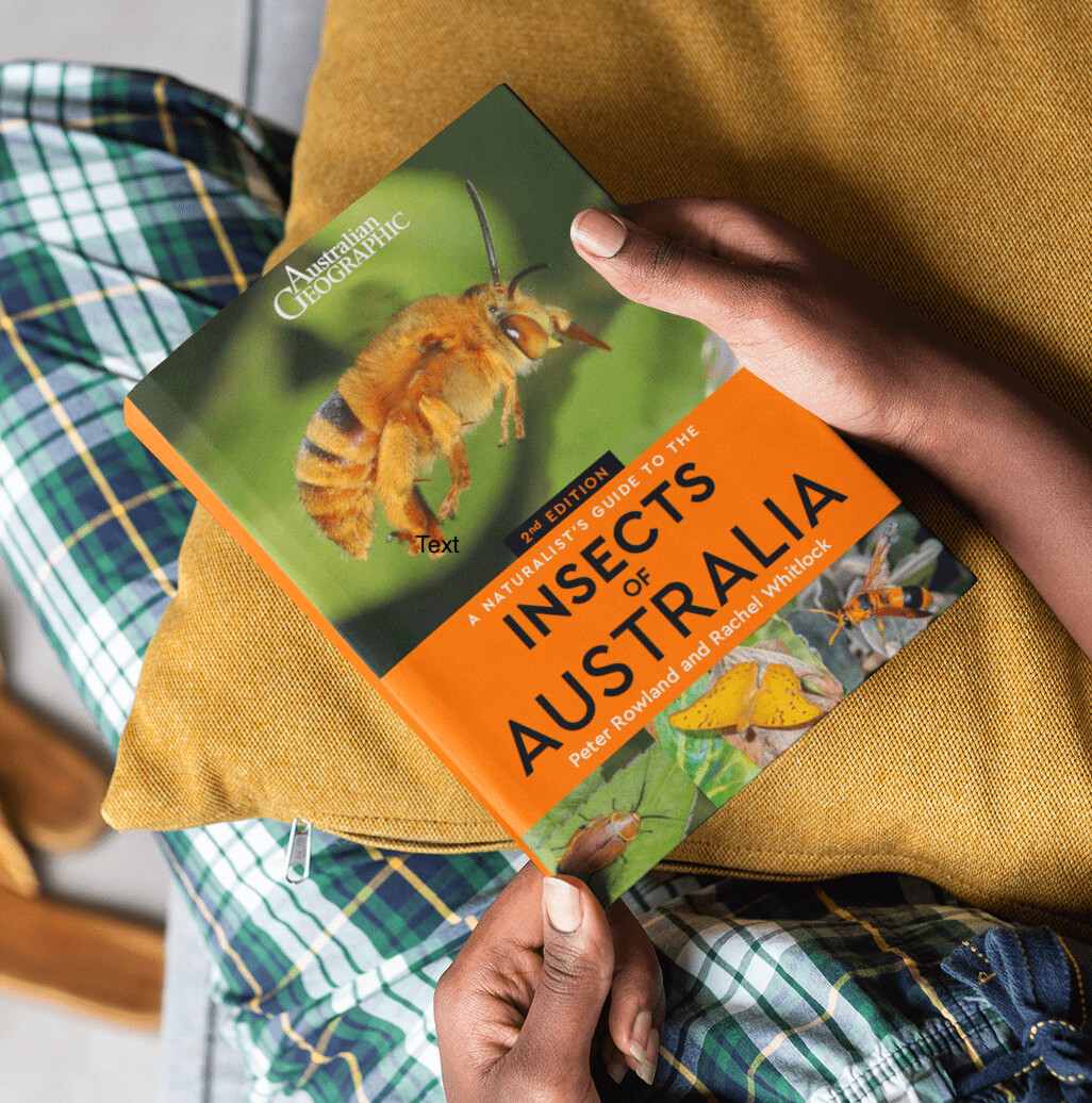 Naturalist's Guide to the Insects of Australia - Store Home - Peter ...