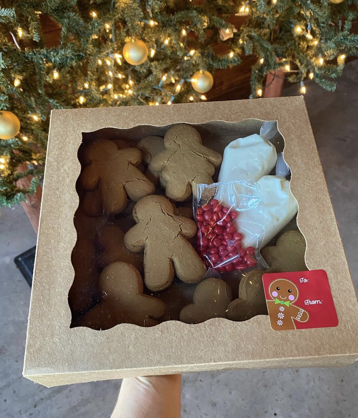 Christmas Gingerbread Cookie Kit