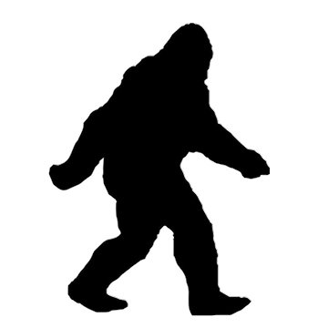 Sassy Squatch Salvage Shop