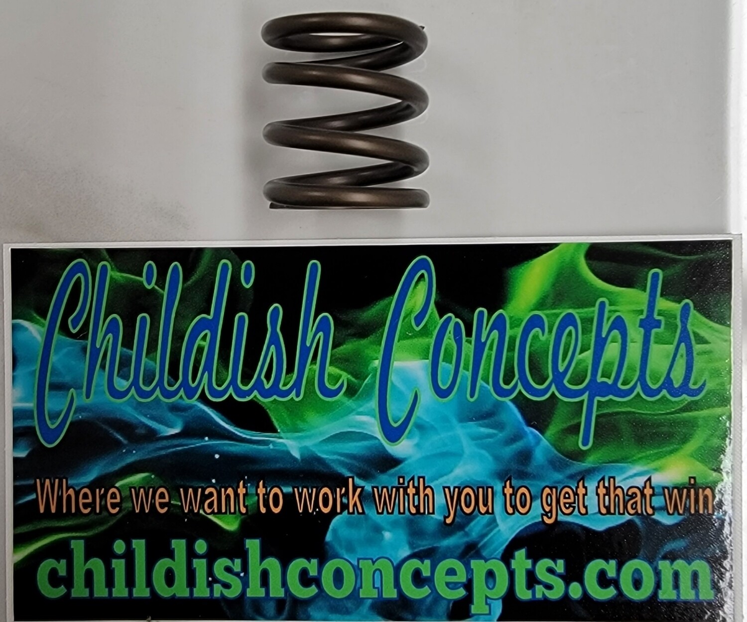 18 Pound BRIGGS ANIMAL Valve Spring