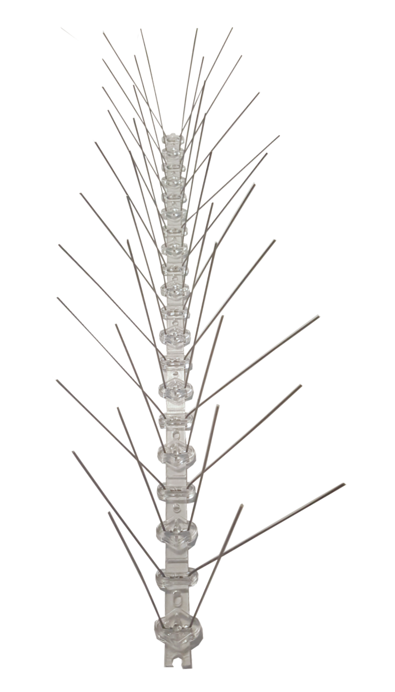 Bird Spikes – Store