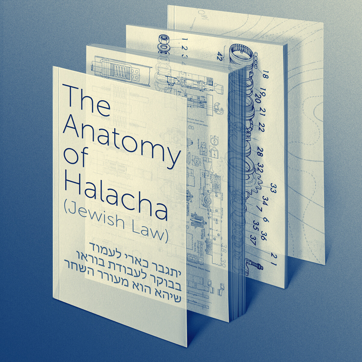 The Anatomy of Halacha