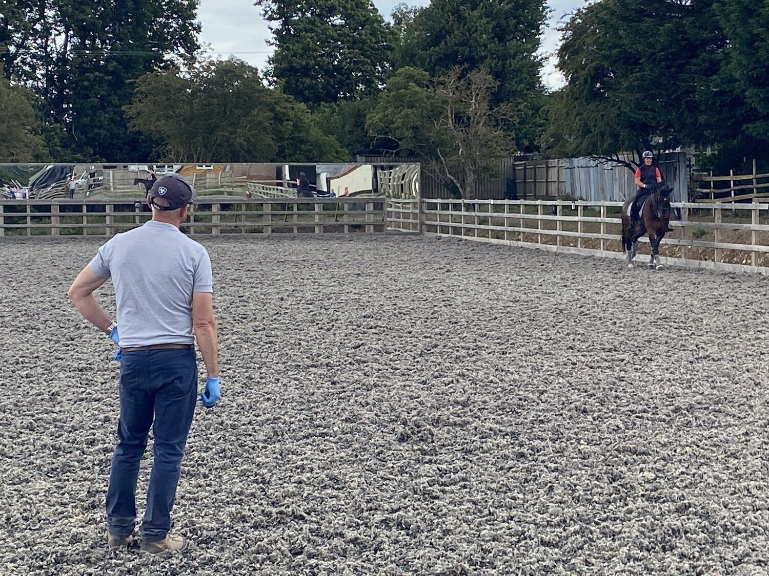 Testt First Mounted Rider Symmetry Assessment : 60 Minutes : Hosted By ...