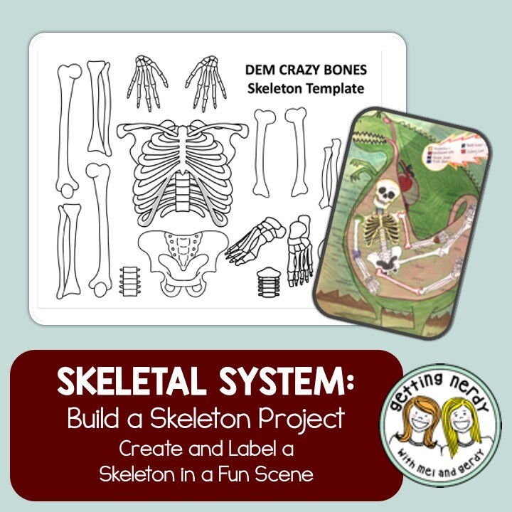 Skeletal System Skeleton Project Skeletal System Skeleton Project