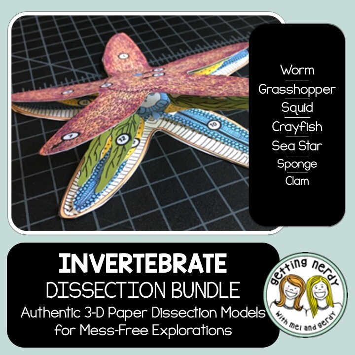 Invertebrate Animals - Scienstructable 3D Dissection Paper Model Bundle
