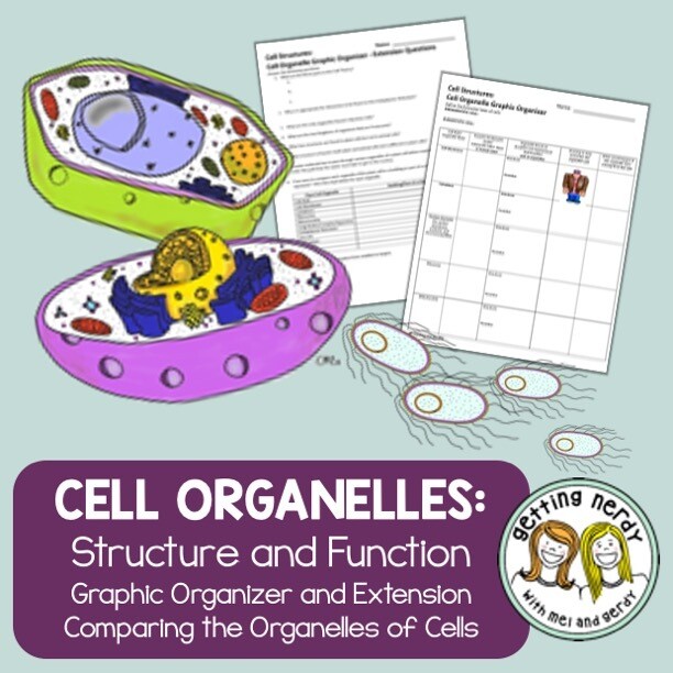 Cell Organelles Structure & Function Graphic Organizer & PowerPoint ...