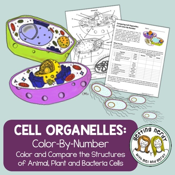 Cell Organelle Structure & Function - Color by Number - Distance ...