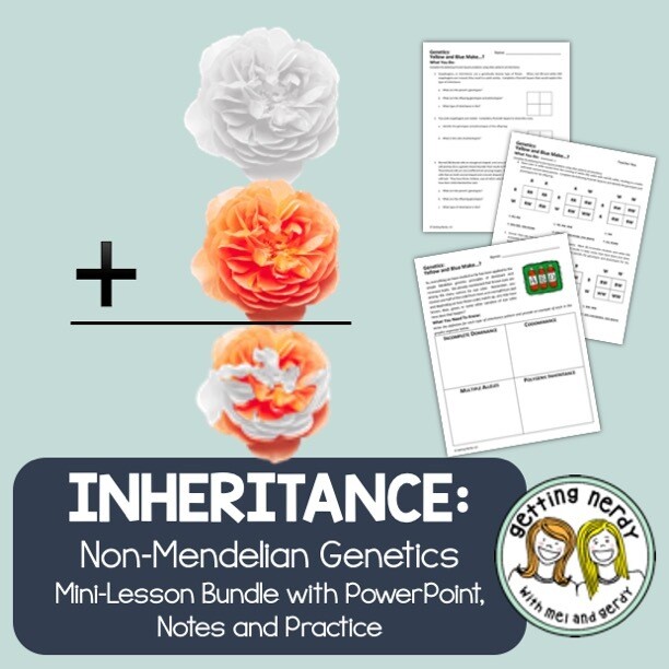 Complex Genetics: Non-Mendelian Patterns of Inheritance - PowerPoint ...