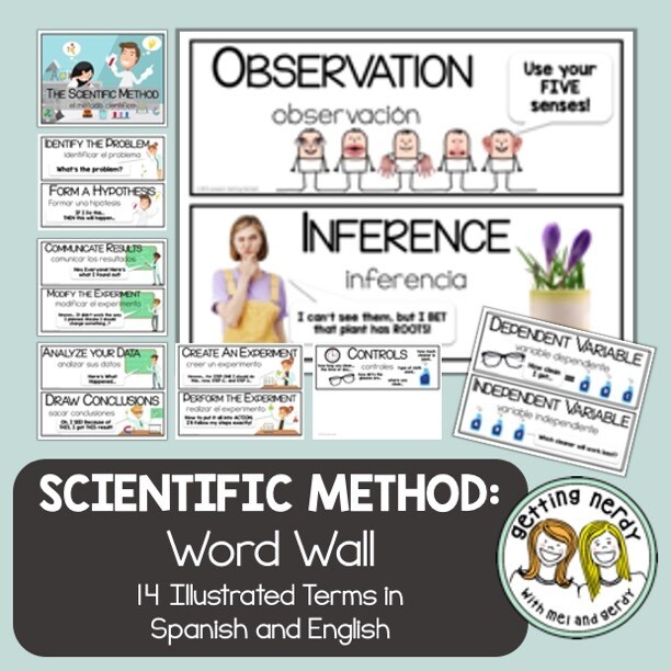 Scientific Method - Word Wall