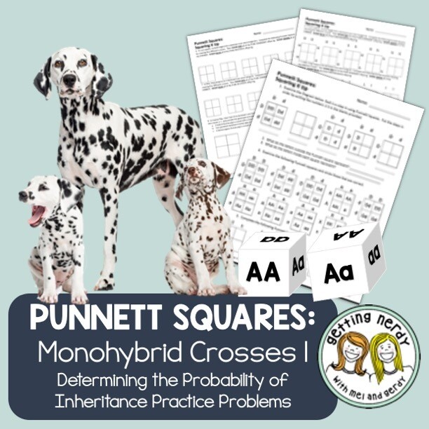 Genetics Monohybrid Cross Punnett Square Practice 1