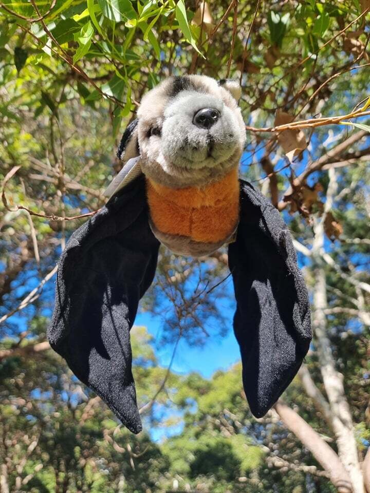 Store | Flying Fox Stuffed Toy