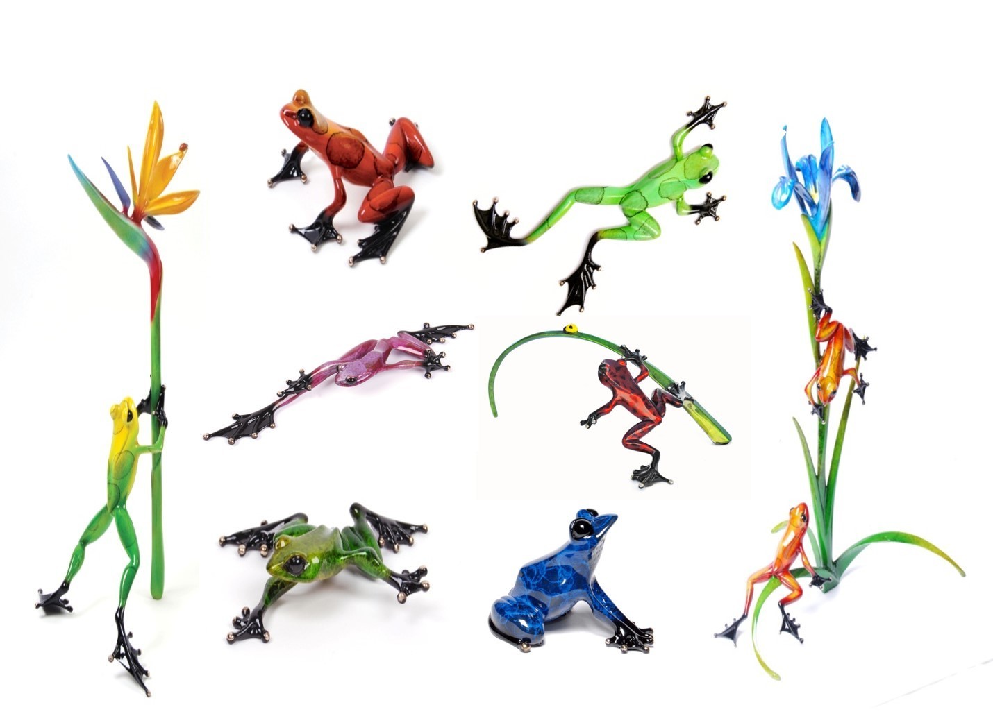 Tim Cotterill – The Frogman – Bird, Gecko, Koi & Frog Bronzes – Shop ...
