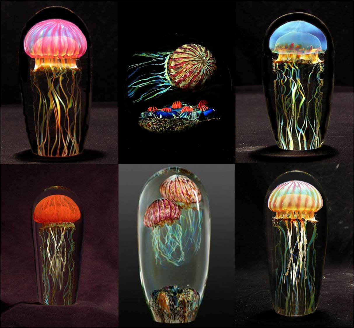 Richard Satava – Glass Jellyfish – Shop – Buy Art Online