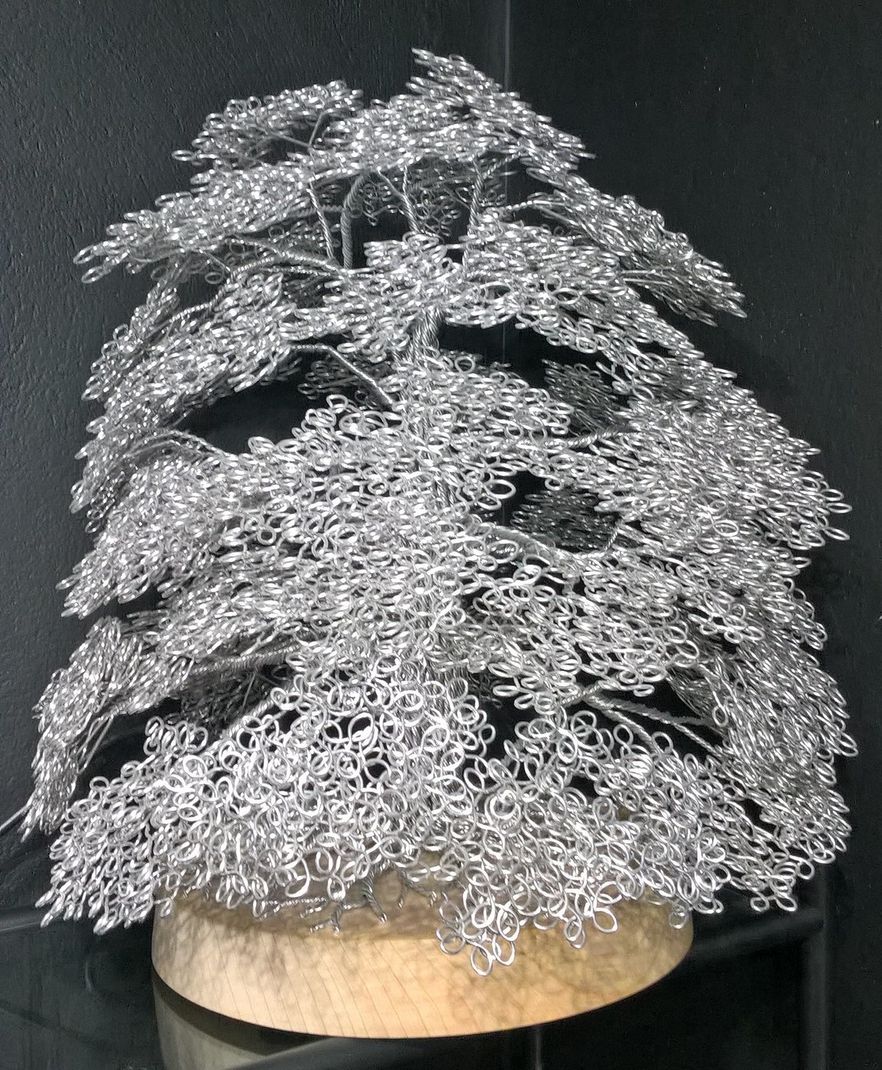 Sycamore – A Wire Tree by Clive Maddison – Shop – Buy Art Online