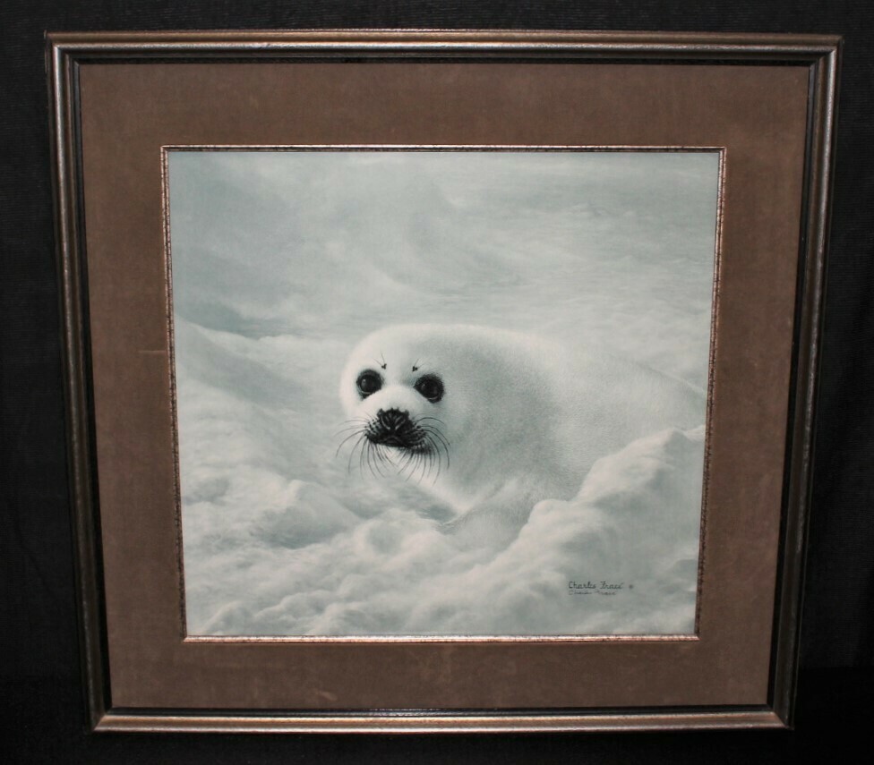 Charles Frace Baby Harp Seal Limited Edition Framed Art