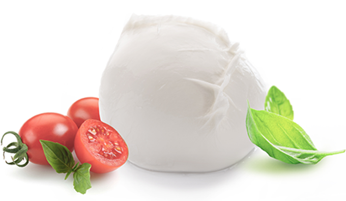 Fresh Mozzarella
