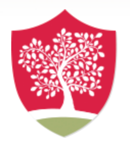 Manor Field Primary School, West Sussex - Spring Term 2024 - Wednesday