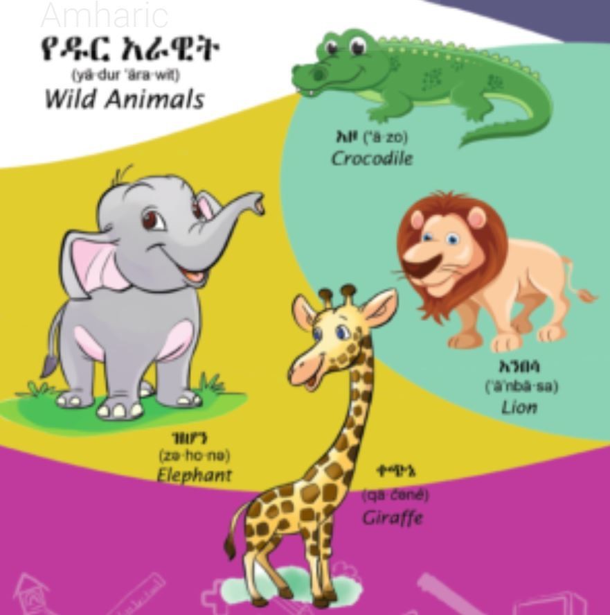 መሰረታዊ የአማርኛ ቃላት Basic Amharic Words