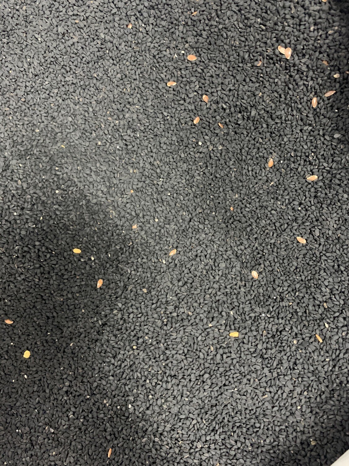 ጥቁር እና ነጭ አዝሙድ Black or White Cumin Tikur ena Nech Azmud