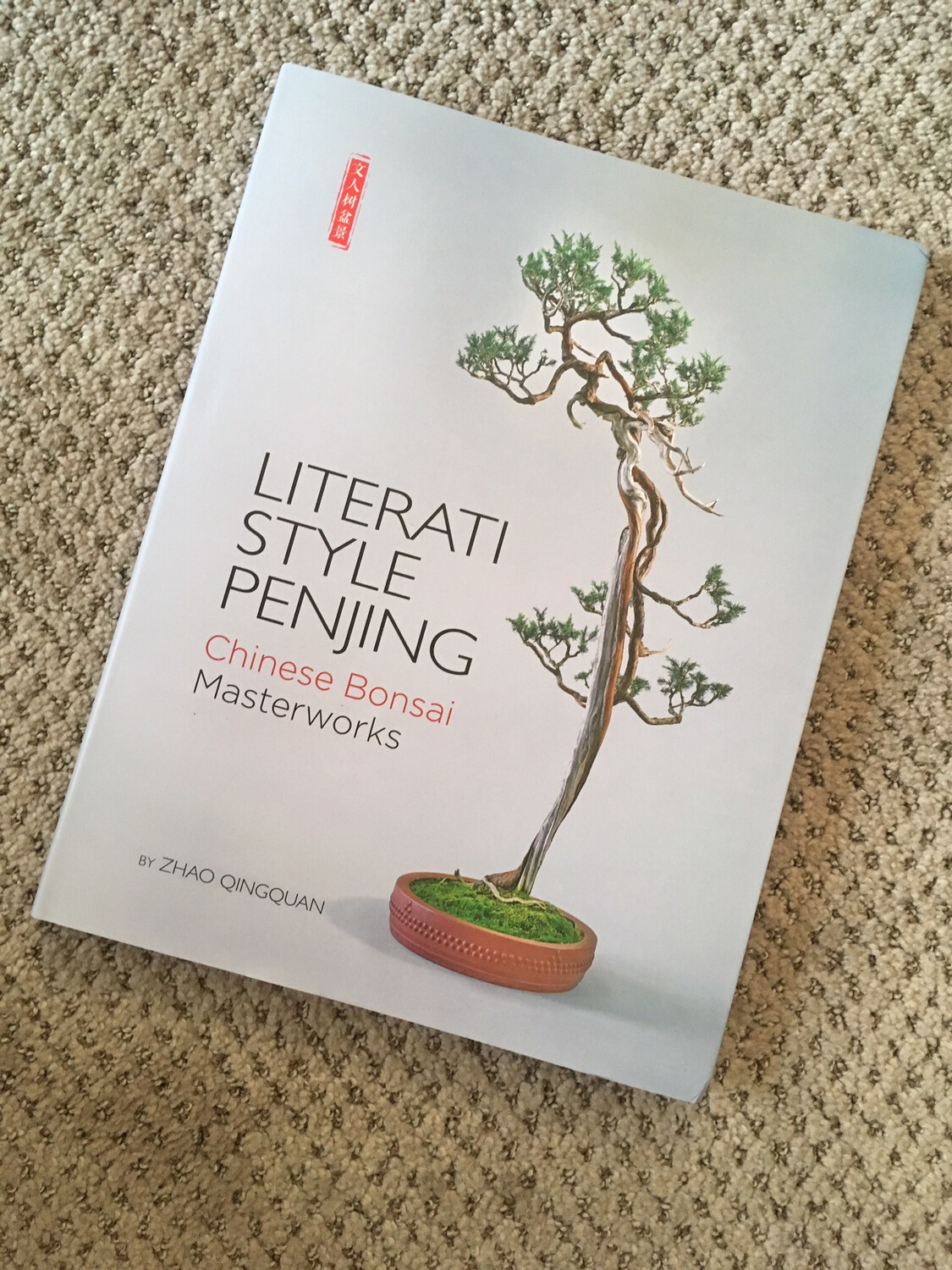 Literati style Penjing