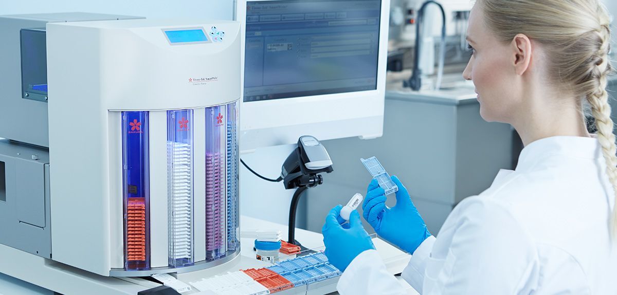 Cassettes and Embedding