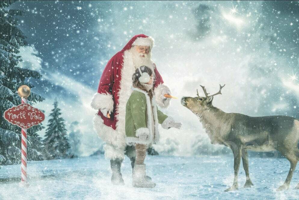 Santa Feeding Reindeer in North Pole - Rudolph - Christmas Holiday ...