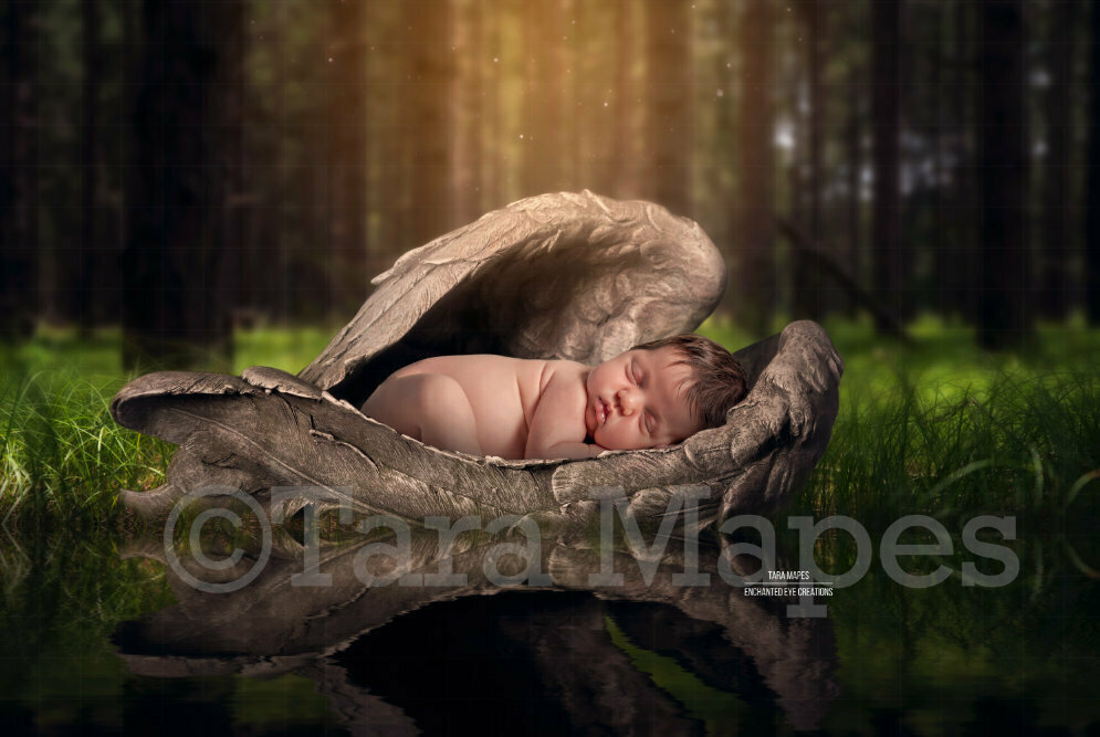 Heaven Sent Digital Background Forest Baby Fur Baby Newborn or Animal ...