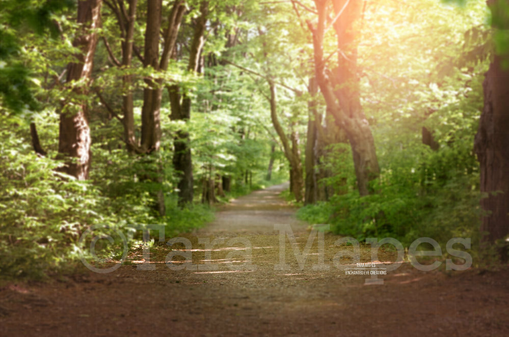 Forest Path, Dirt Path Nature Digital Background Backdrop