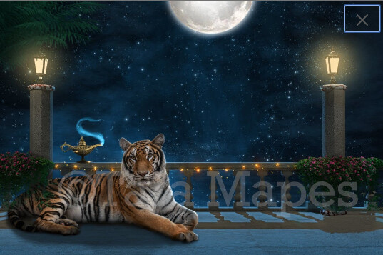 Balcony - Arabian Night - Big Tiger - Genie Lamp - Digital Background ...