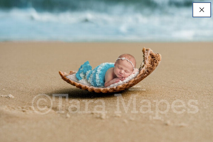 Mermaid in a Shell Newborn Digital Background Backdrop