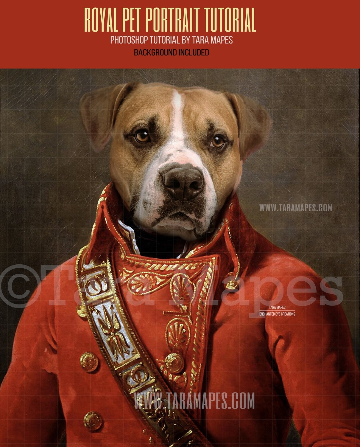 TWO Pet Portrait Compositing Tutorials- 1 Pet Background Included ...