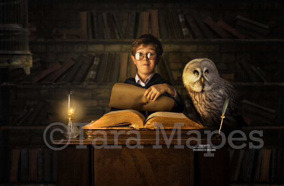 Wizard Desk with Magic Book - Magic Owl - Wizard Spell Book - Wizard ...