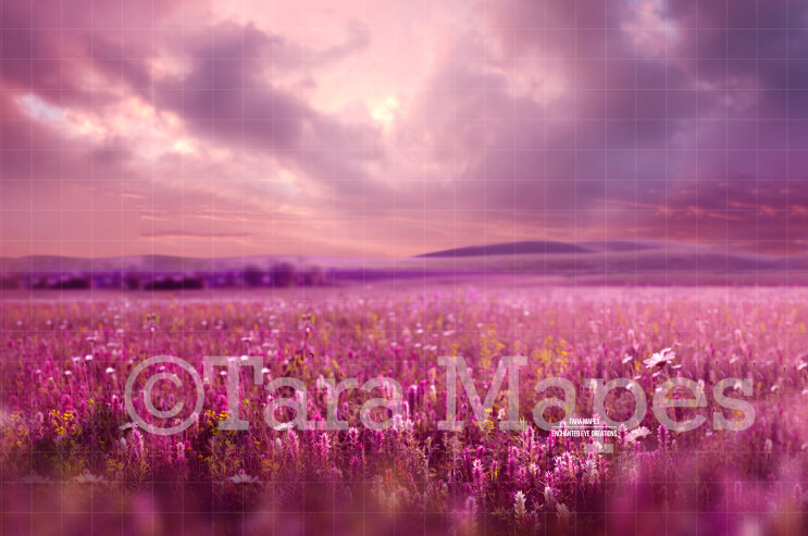 Pink Field of Flowers Digital Background