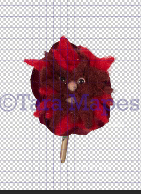 Talking Flower- Red Mad Flower with Funny Face- Flower Overlay by Tara ...