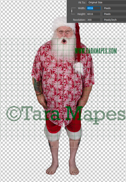 Beach Santa Overlay PNG - Santa Overlay - Santa Clip Art - Santa Cut ...
