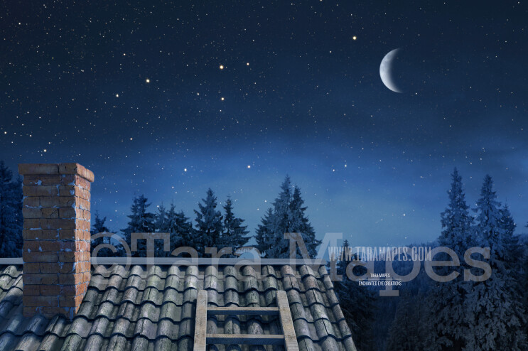 Christmas Rooftop Christmas Roof with Pines Holiday Digital Background ...