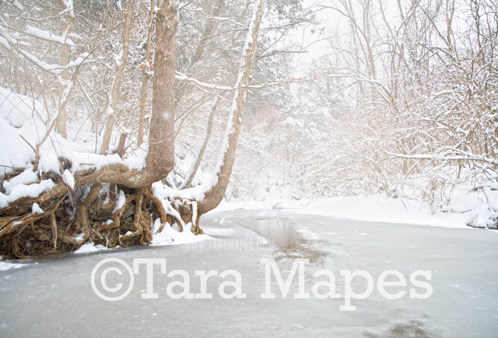 Snowy Street - Winter Path- Snowy Scene Digital Background plus FREE ...