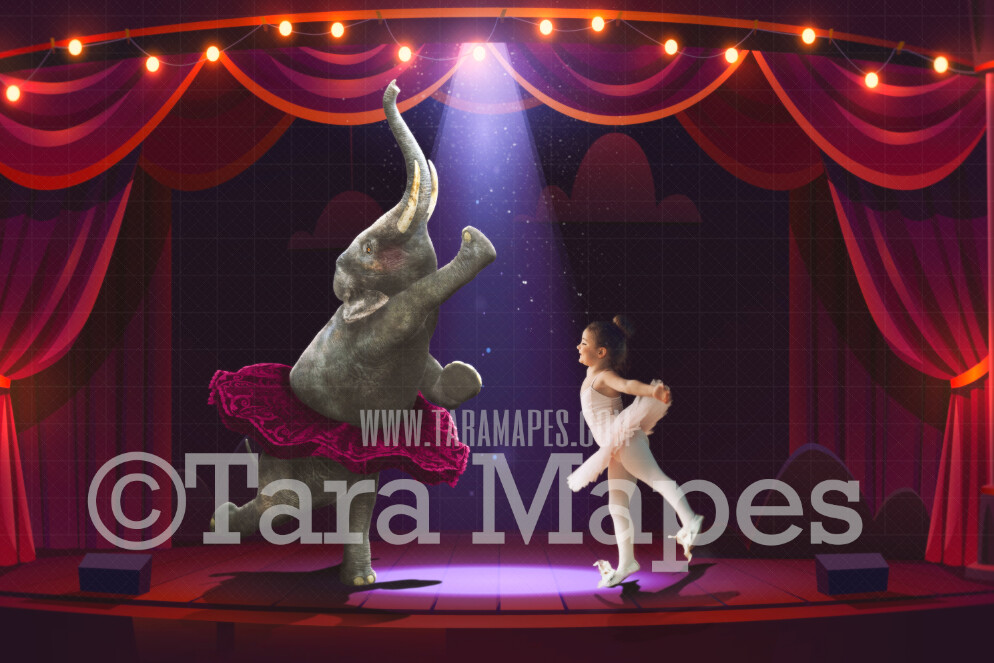 Elephant Ballerina - Baby Elephant in Tutu on Colorful Stage with ...