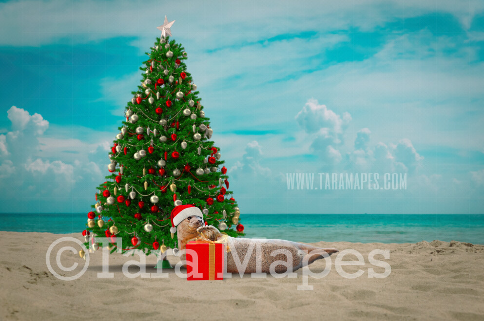 Beach Reindeer on Christmas Beach - Warm Christmas - Beach Christmas ...