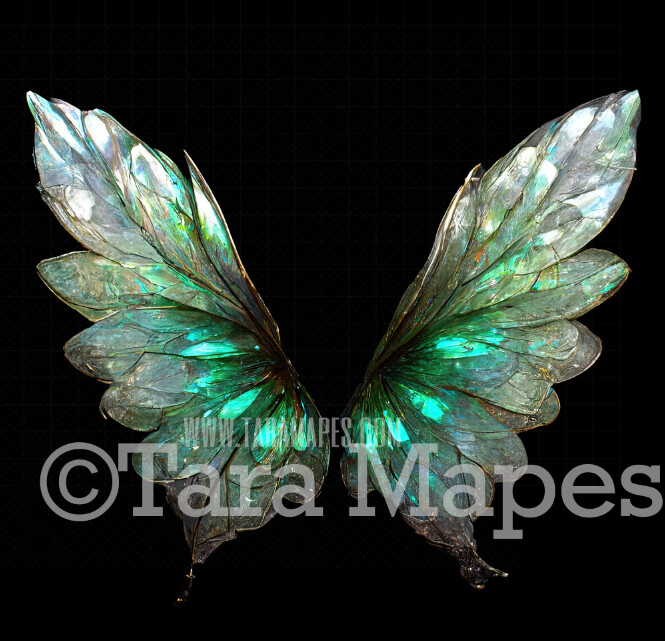 Fairy Wing Overlay - Fairy Wing Overlay - Digital Wings - Glitter ...