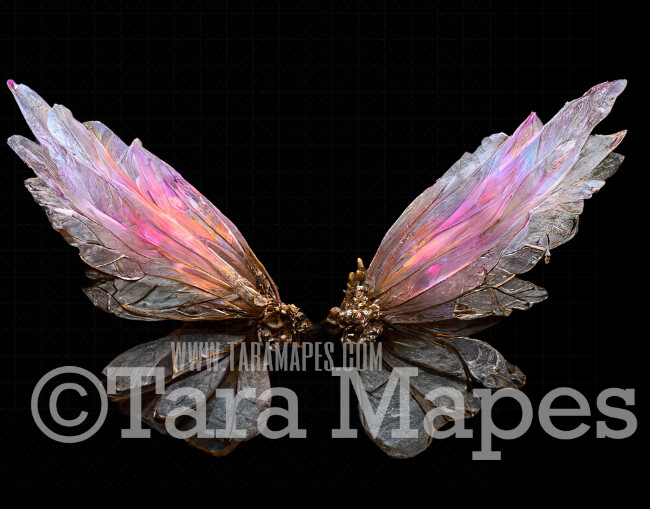 Fairy Wing Overlay - Fairy Wing Overlay - Digital Wings - Glitter ...